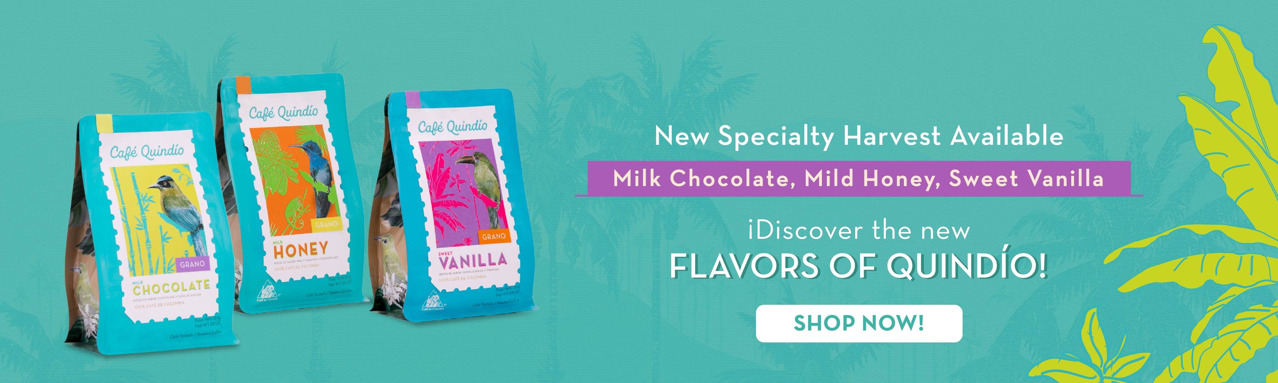 Café Quindío US - Specialty Coffee Experts